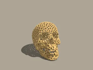 Voronoi Skull by AlexisFimeyer | Download free STL model | Printables.com