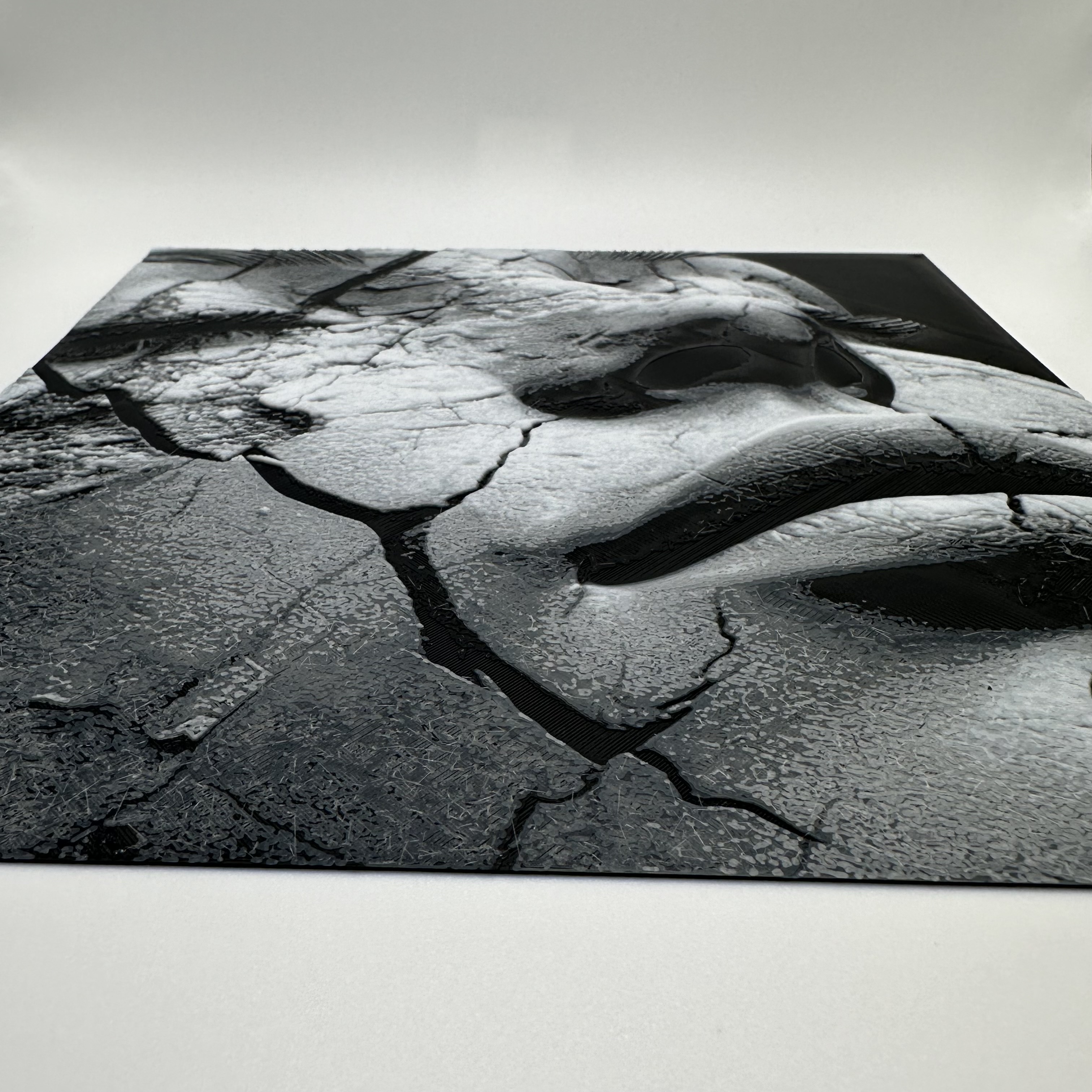 HueForge - Wall Art - "Fragile" by Deltree3D | Download free STL model ...