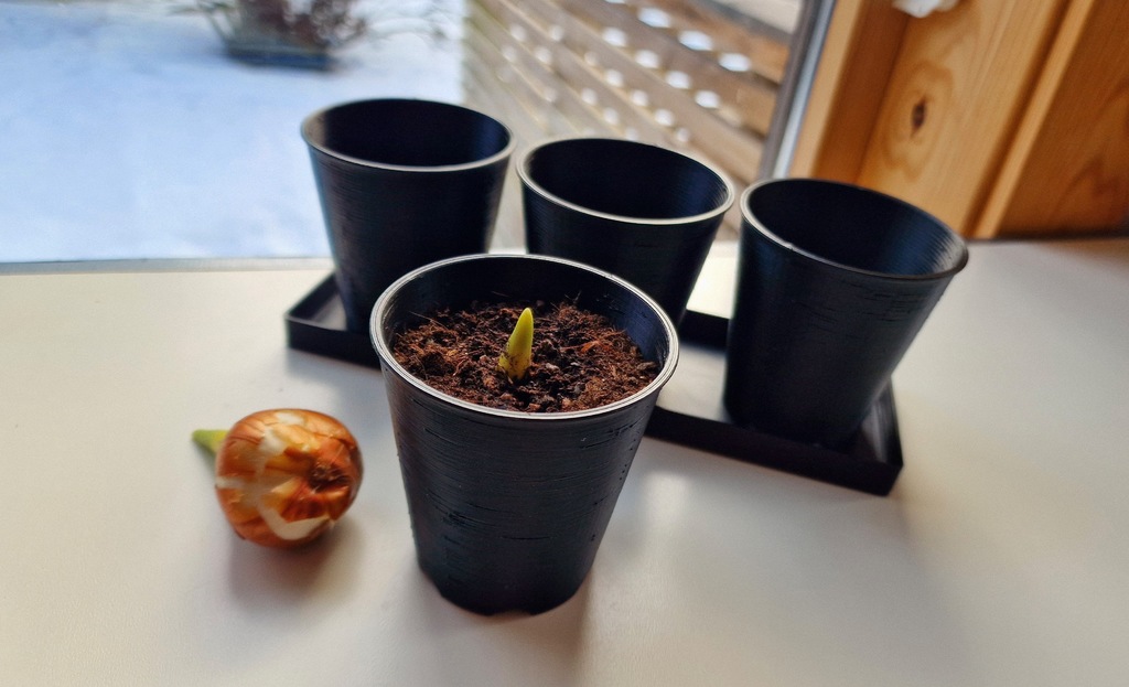 Small planter by Baeoniq | Download free STL model | Printables.com