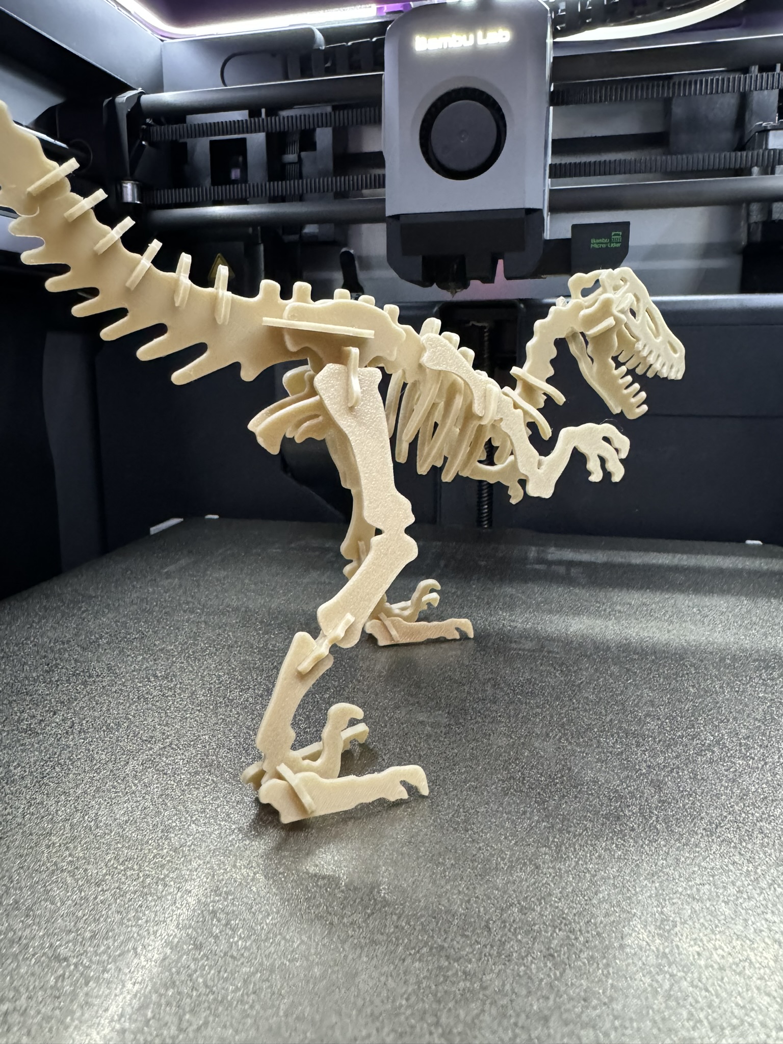 Velociraptor Kit Card by Turbospeed | Download free STL model ...