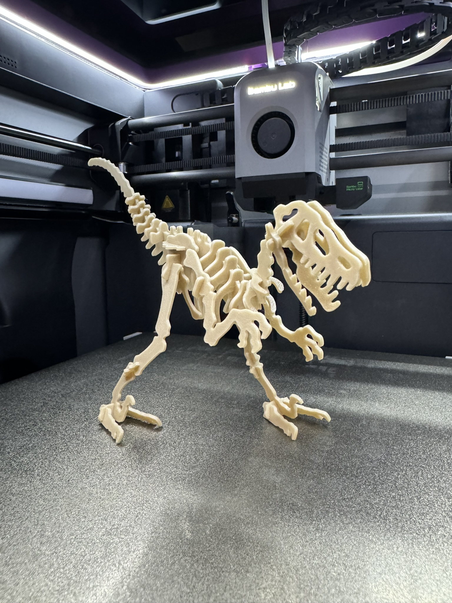 Velociraptor Kit Card by Turbospeed | Download free STL model ...