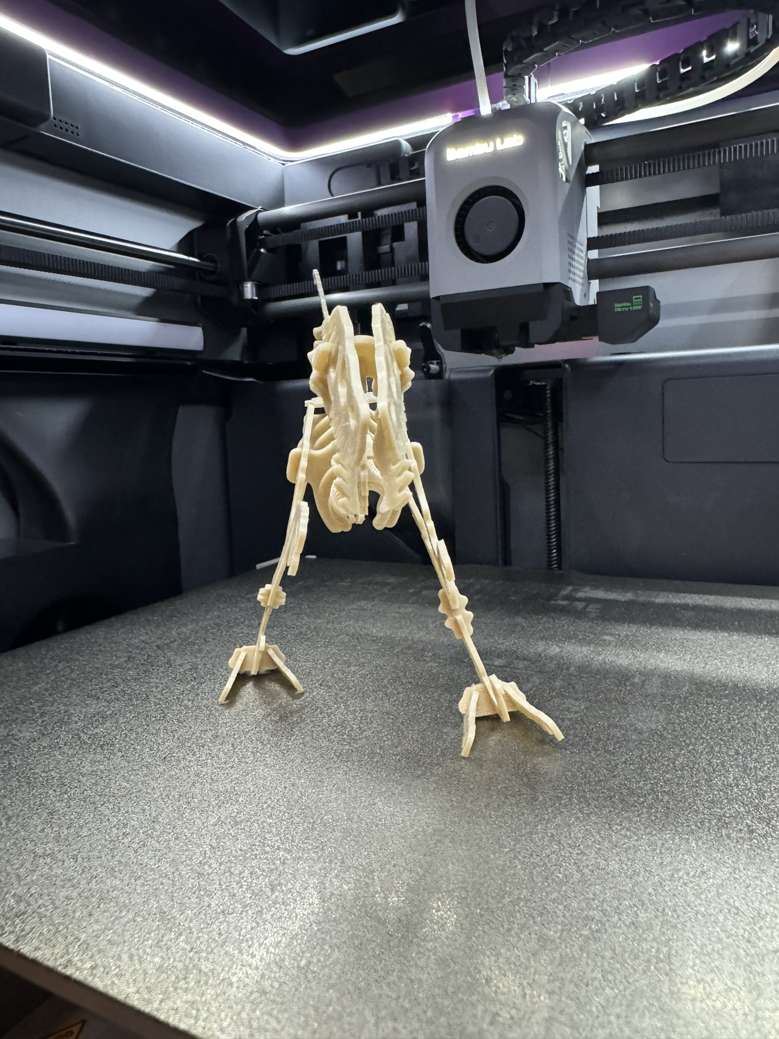 Velociraptor Kit Card by Turbospeed | Download free STL model ...