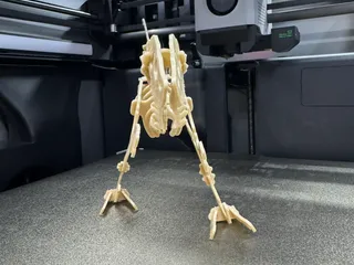 Velociraptor Kit Card by Turbospeed | Download free STL model ...