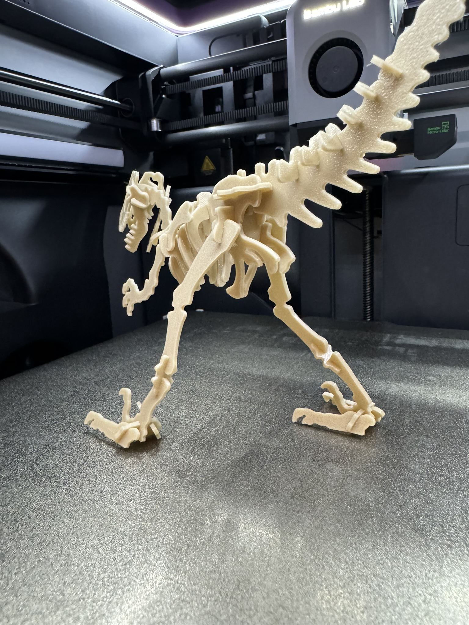 Velociraptor Kit Card by Turbospeed | Download free STL model ...