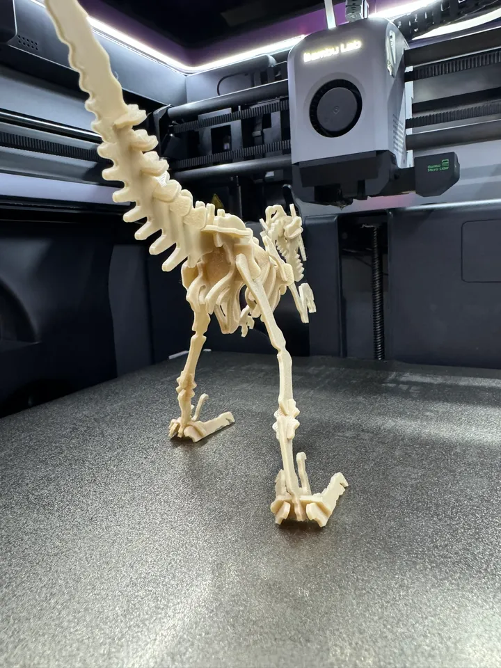 Velociraptor Kit Card by Turbospeed | Download free STL model ...