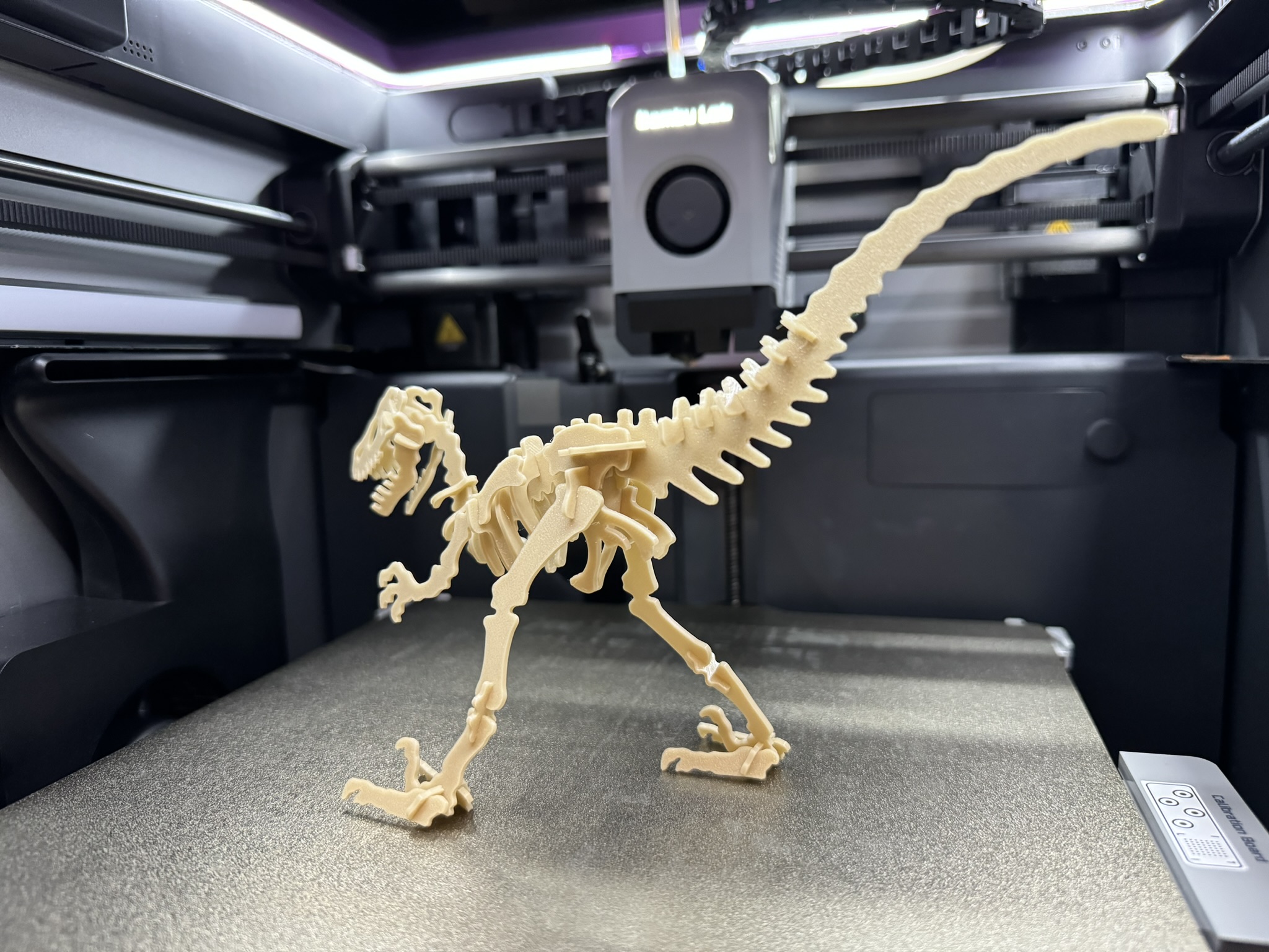 Velociraptor Kit Card by Turbospeed | Download free STL model ...