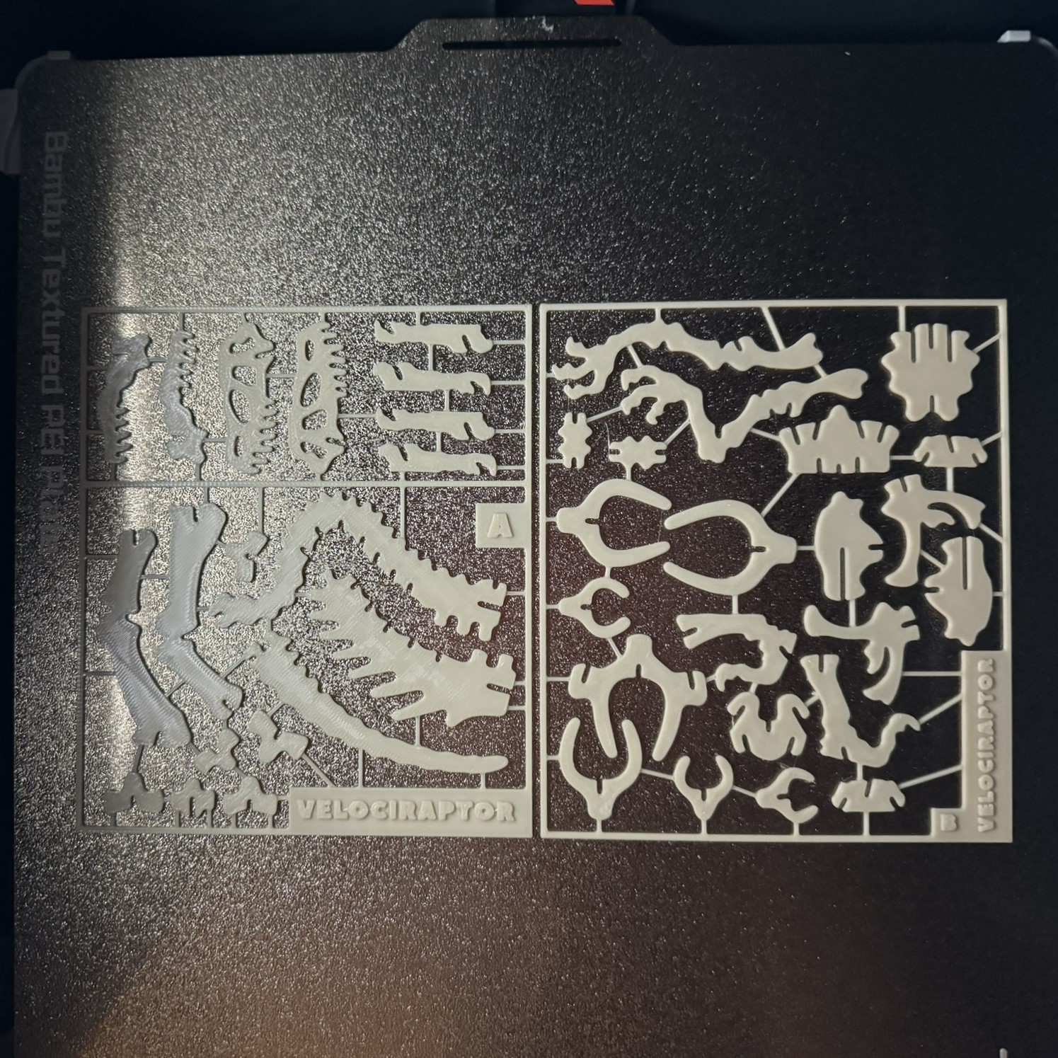 Velociraptor Kit Card by Turbospeed | Download free STL model ...