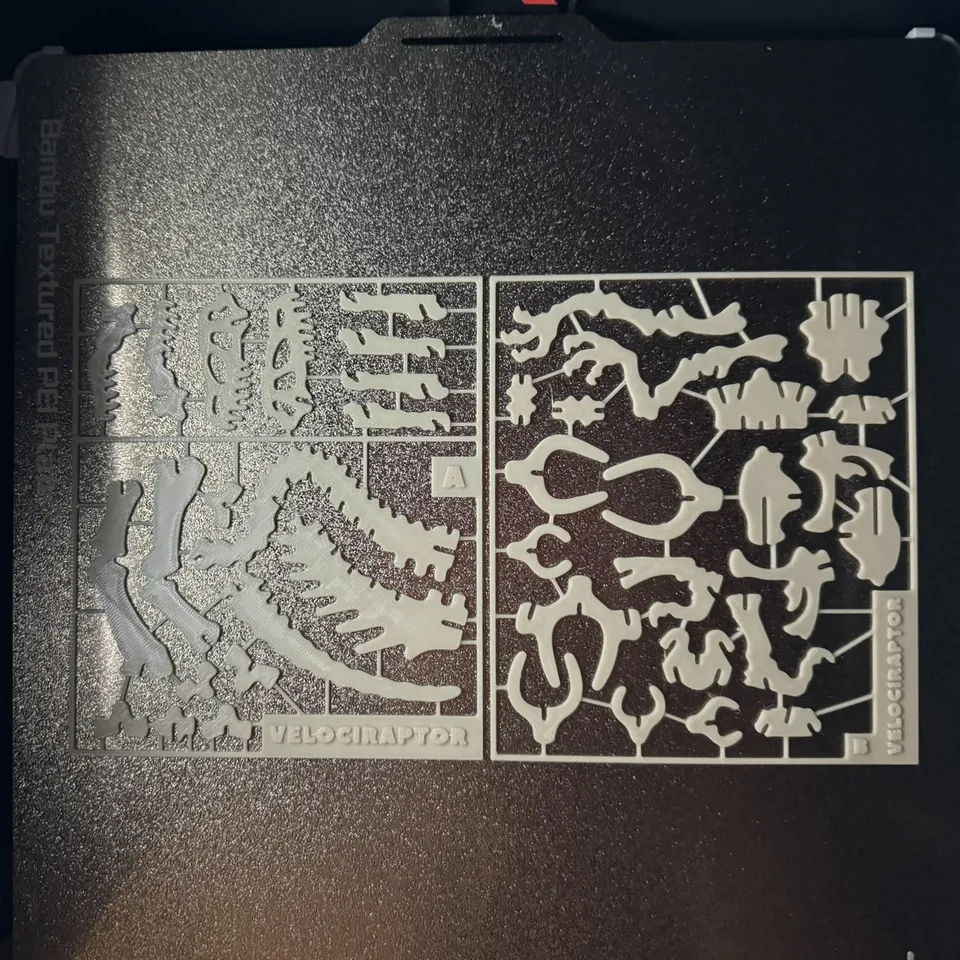 Velociraptor Kit Card by Turbospeed | Download free STL model ...
