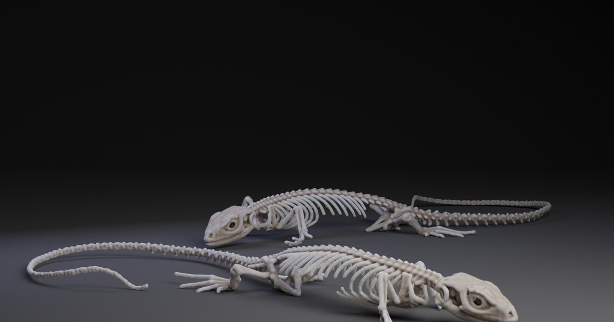 Desert Lizard Skeleton by Peter Farell | Printables Store