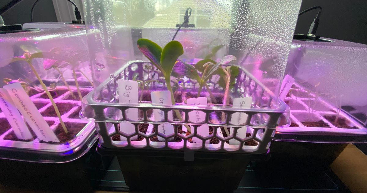 Seed starter tray Riser by Hi_Im_Dave | Download free STL model ...