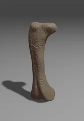 Femur Keychain by KubiV | Download free STL model | Printables.com