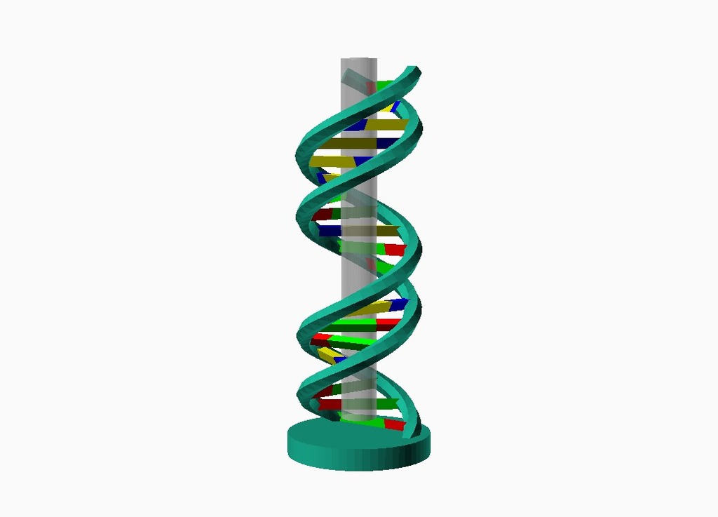 DNA Vase by gringer | Download free STL model | Printables.com