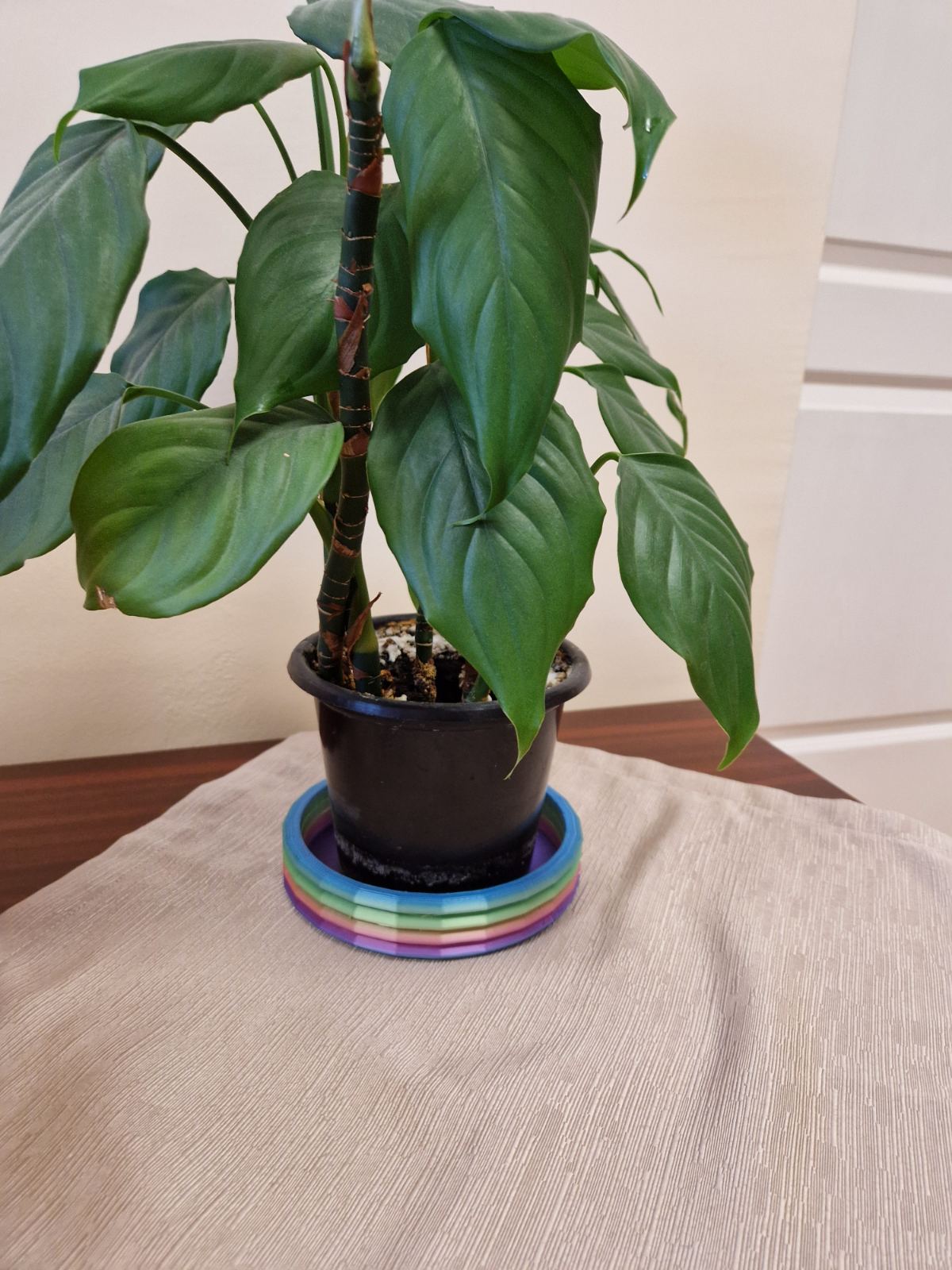 Flower Pool by Csaba Baráth | Download free STL model | Printables.com