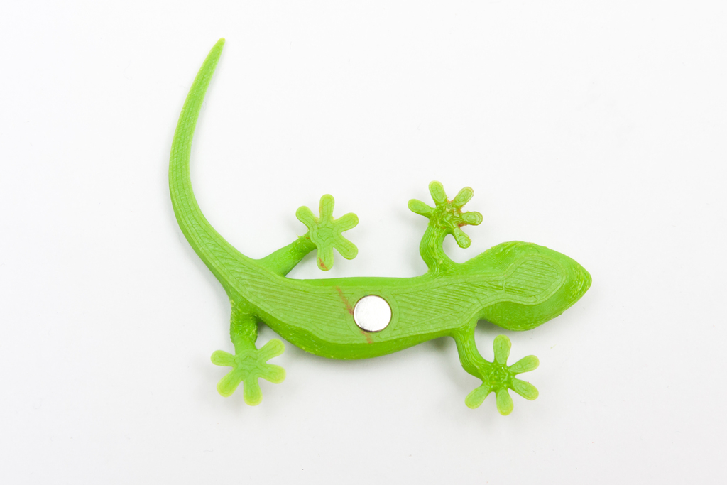 Gecko DeskPal Fridge Magnet by ChunkySteveo | Download free STL model ...