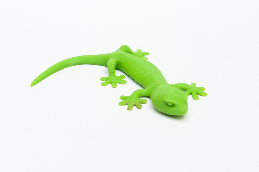 Gecko DeskPal Fridge Magnet by ChunkySteveo | Download free STL model ...