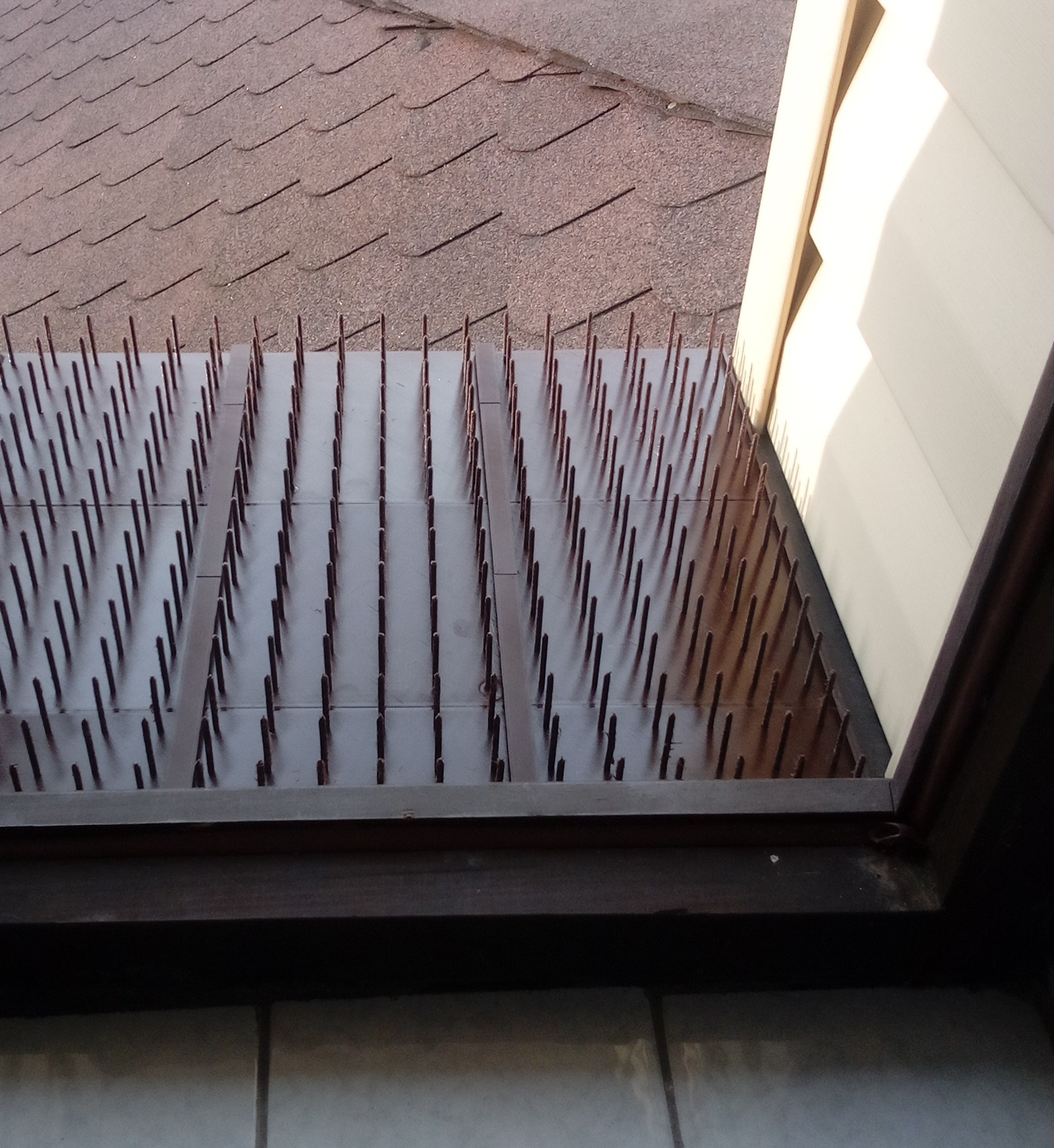 Bird spikes (on the windowsill). by Jiří Šilhavík | Download free STL ...