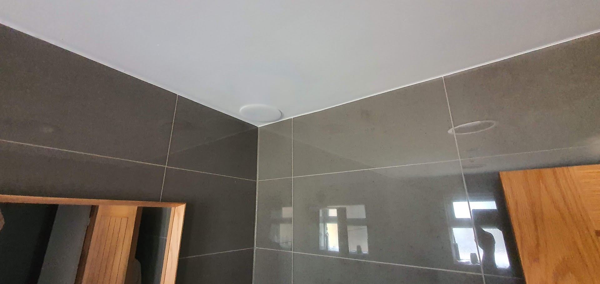 Elegant Echo Dot V3 Flush ceiling mount by Alextrical | Download free ...
