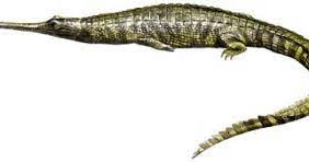 teleosaurus by seth the yutyrannus | Download free STL model ...