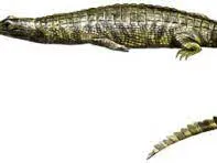 teleosaurus by seth the yutyrannus | Download free STL model ...