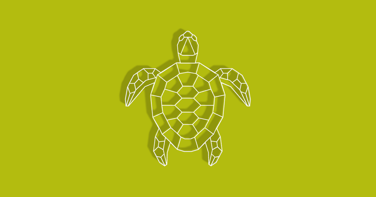 Geometric Turtle by PSHE CIONG | Download free STL model | Printables.com