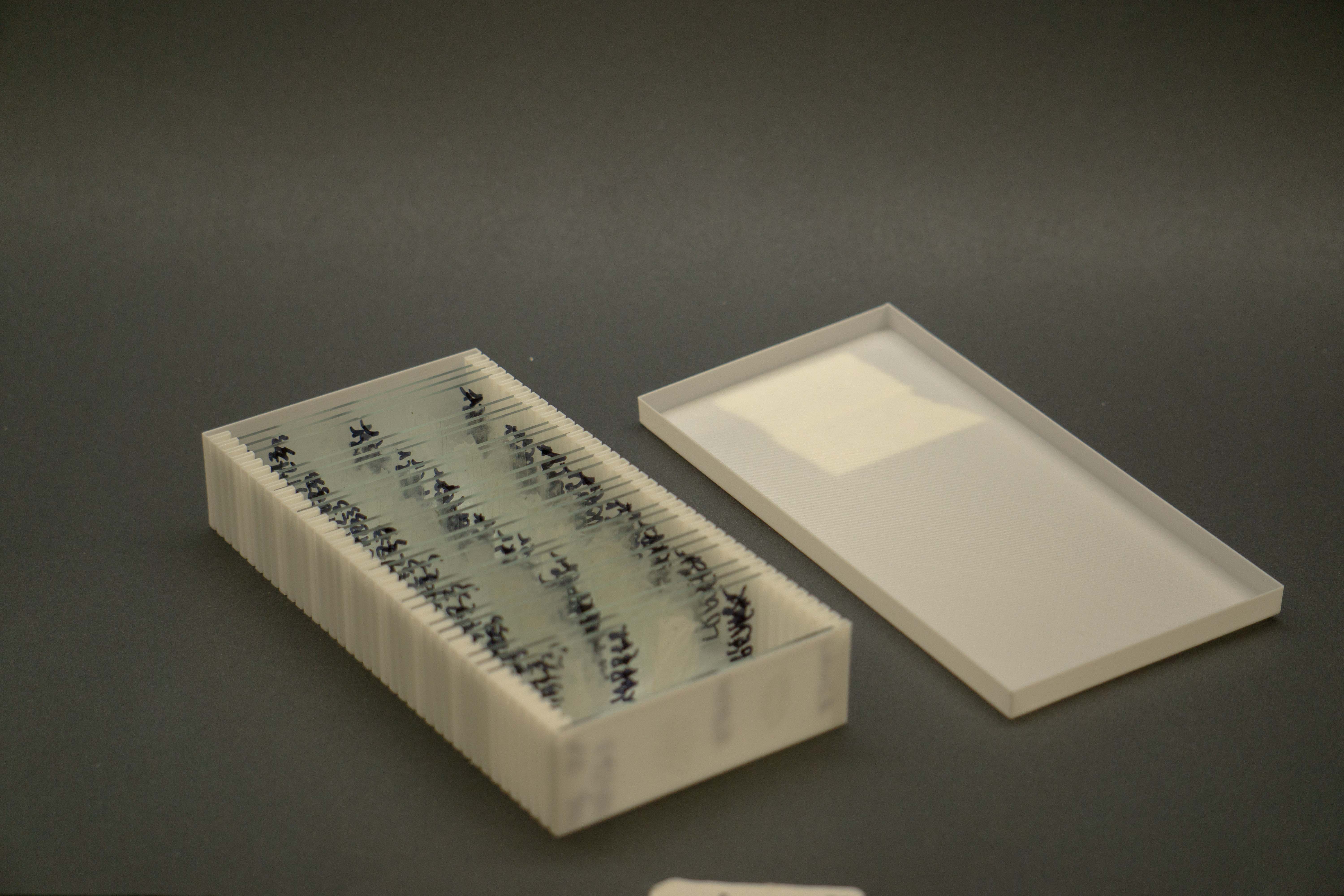 Microscope Slide Box + Lid (Vase) by Peagler Science | Download free ...