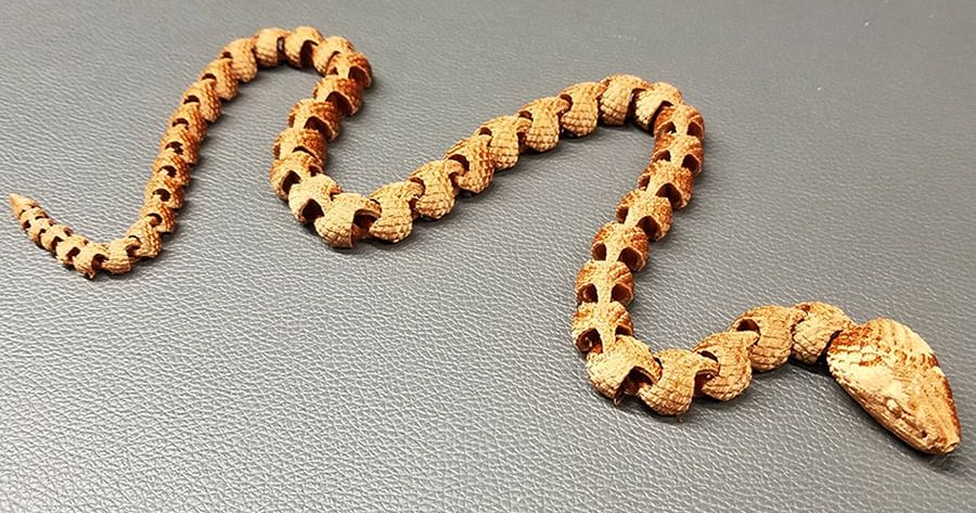 Articulated Snake with Scales by Davis_County_Library | Download free ...