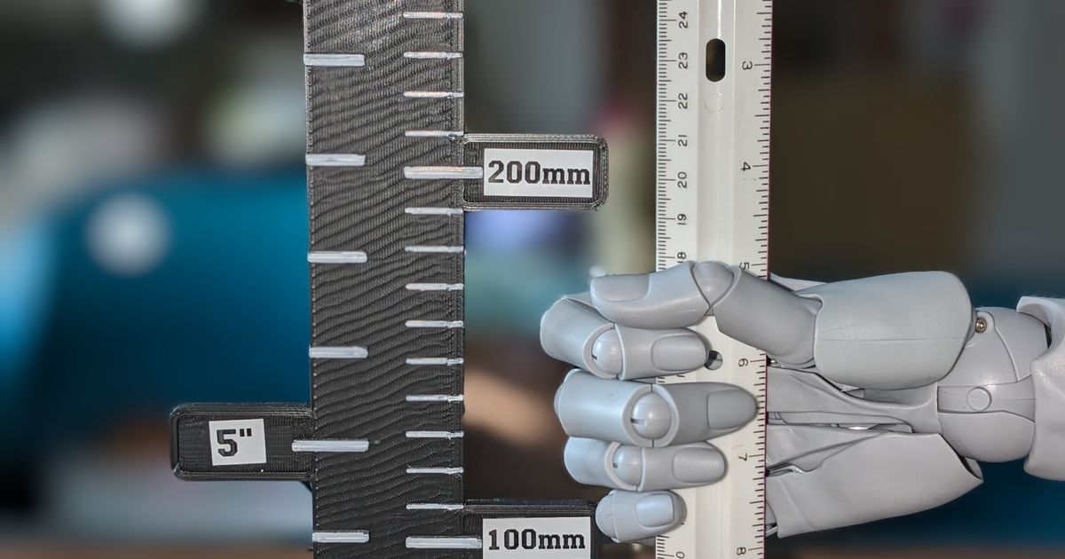 Photograph Scale by HNCXTech | Download free STL model | Printables.com