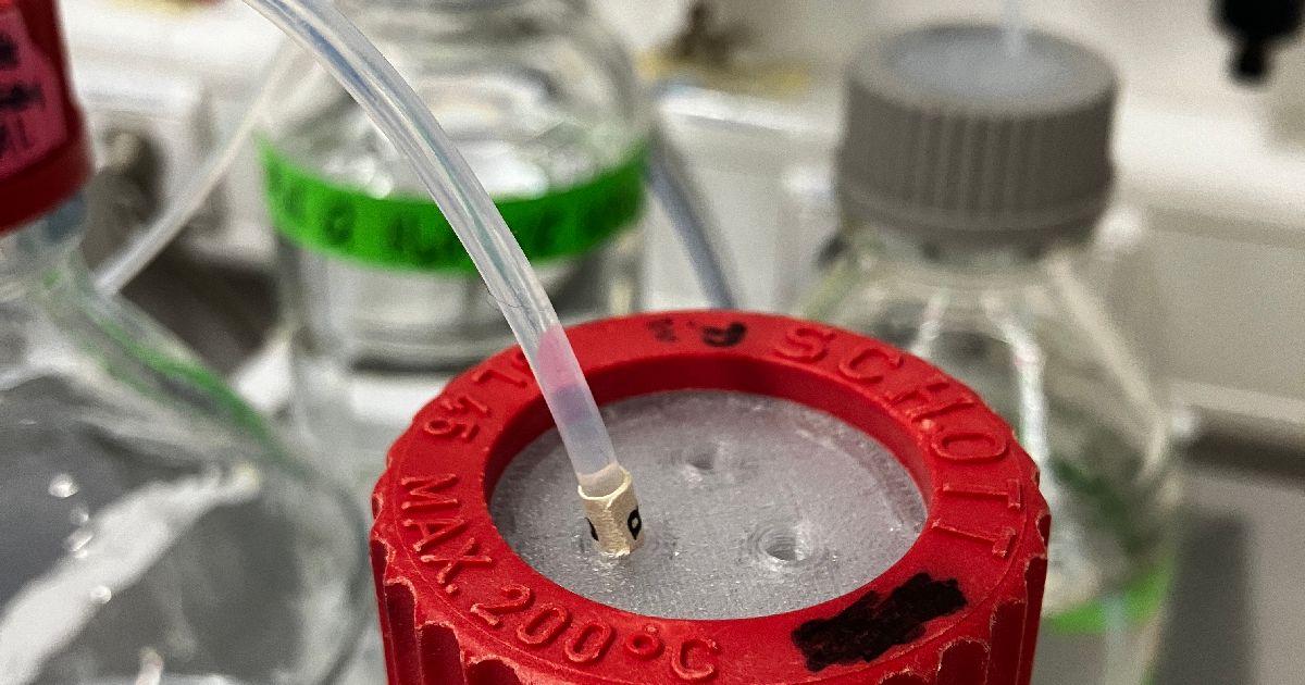 GL45 Schott Bottle Inlet for HPLC Tubing by lklse | Download free STL ...