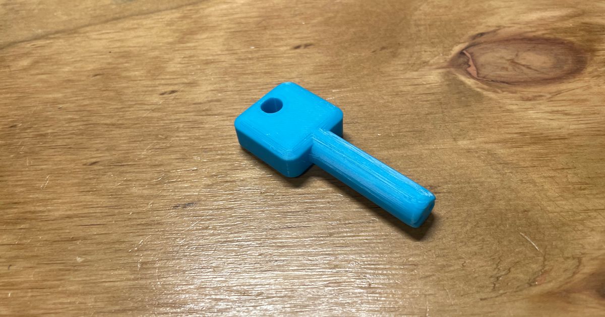 SFIC Coreless Key by Shozoku Sagara | Download free STL model ...