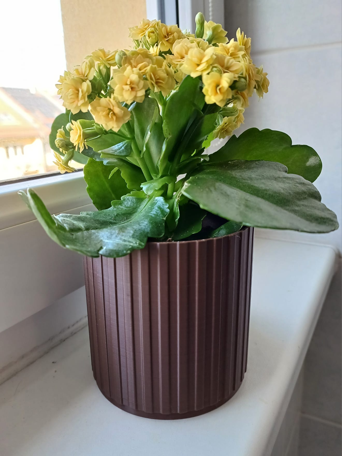 Simple geometric plant pot by xorios | Download free STL model ...