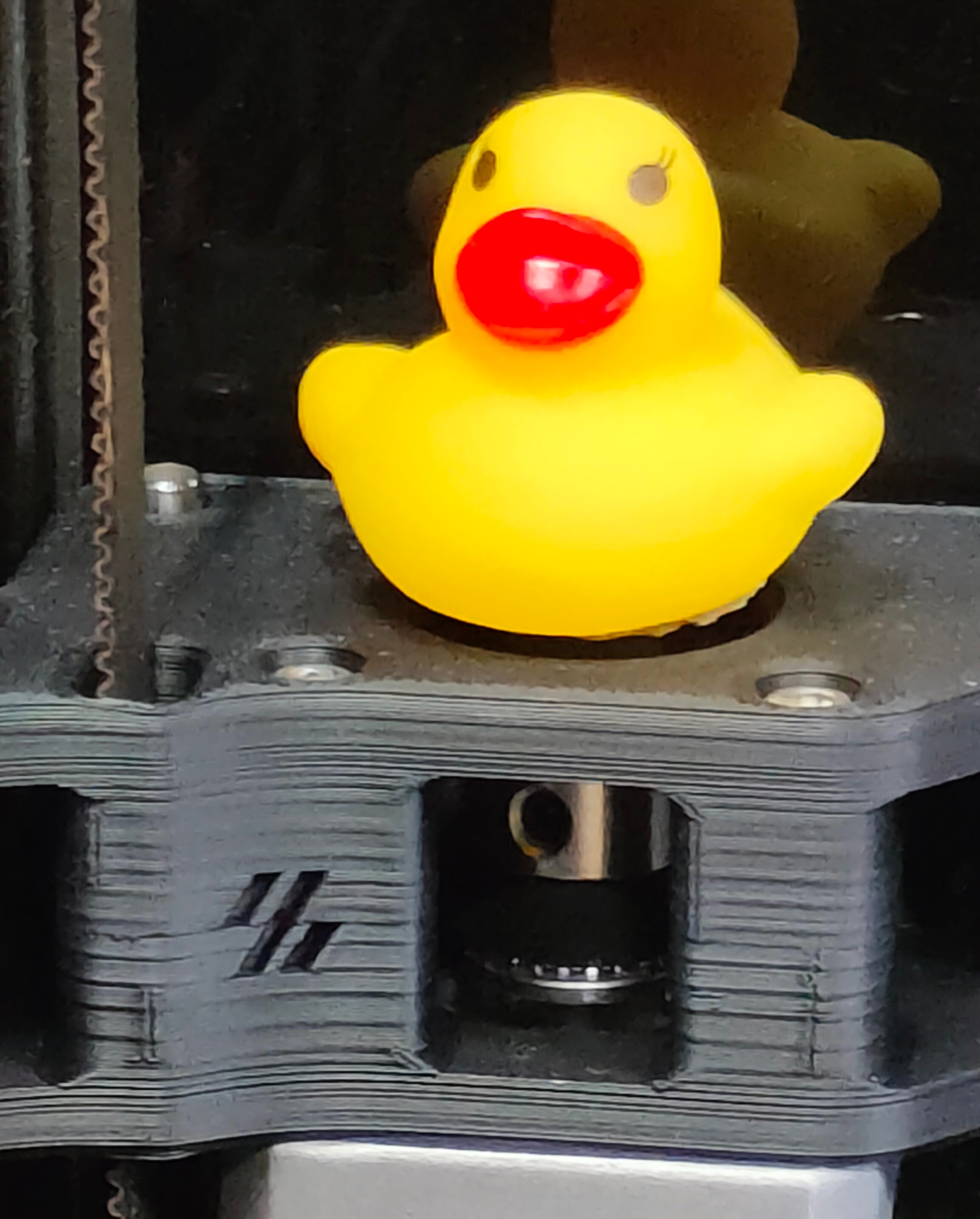 Voron Safety Duck Spinner direct by Kuna | Download free STL model ...