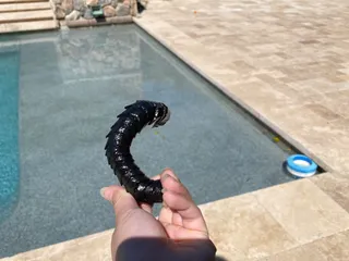 Seed Starter Mini by Carson Design & Prototyping | Download free STL model | Printables.com