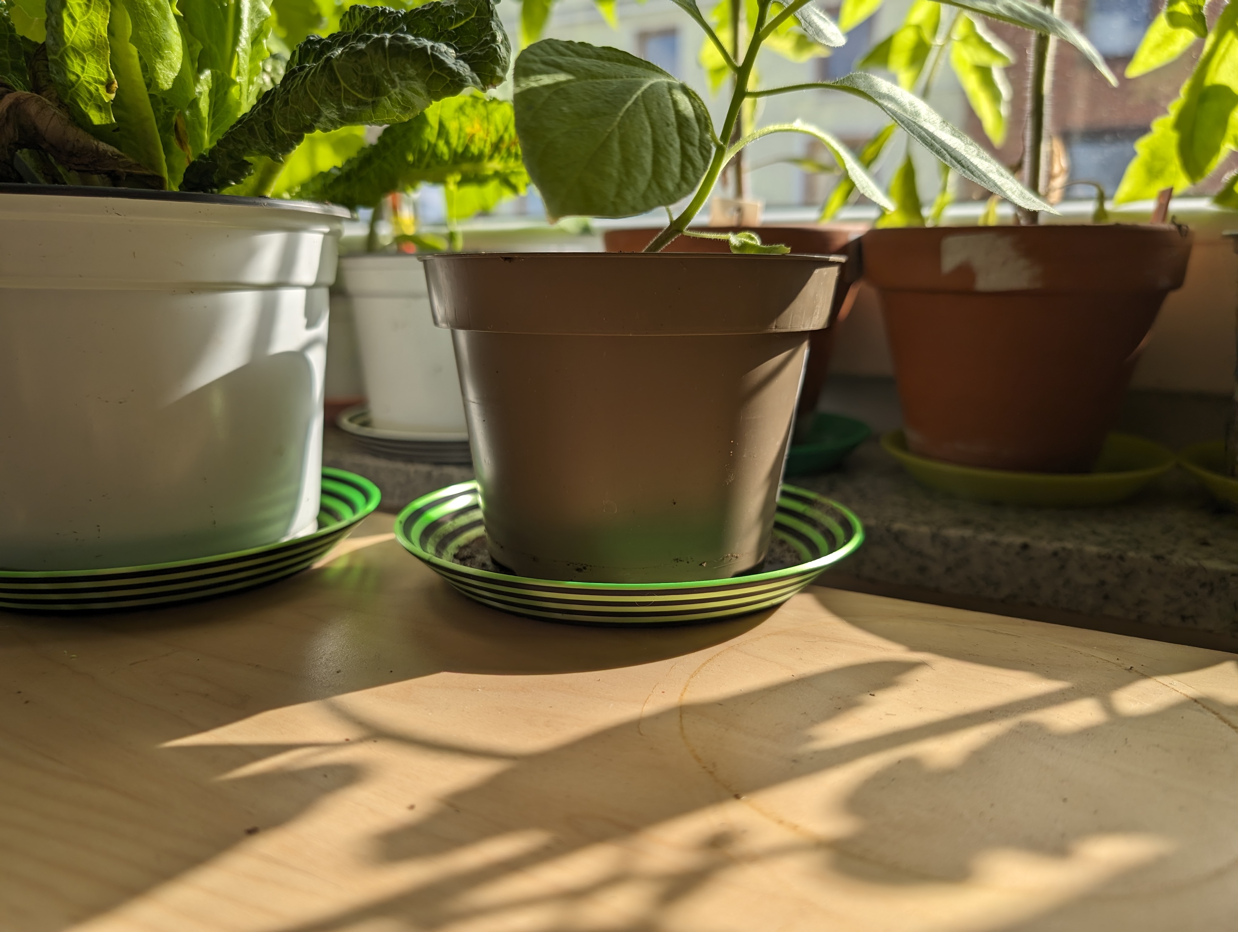 Simple flower pot coasters by Elsni | Download free STL model ...