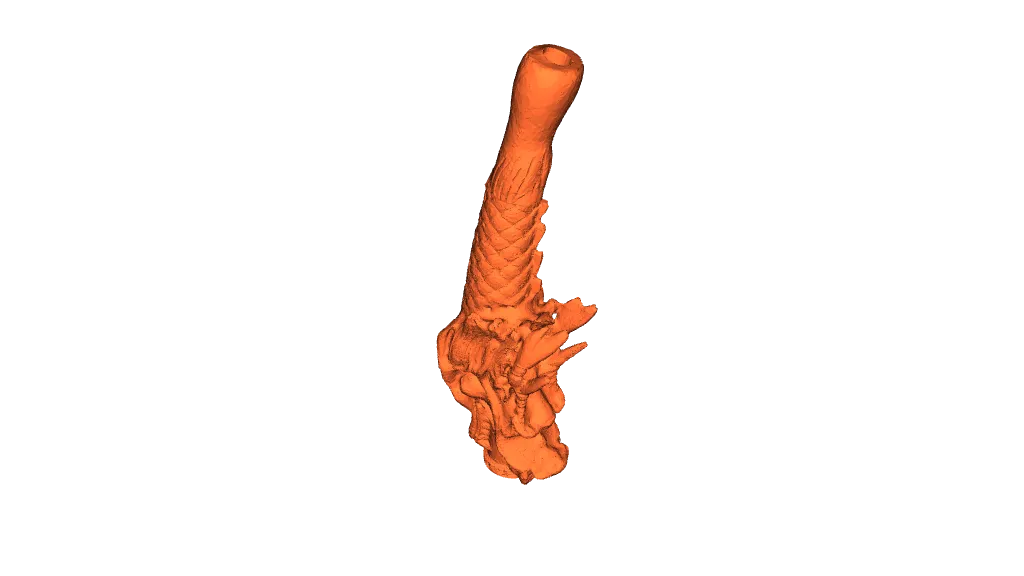 DrugonSnort (Dragon) Straw by Lines, man. Lines | Download free STL ...