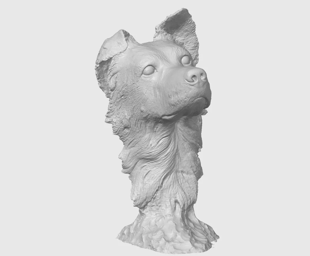 Border collie by Jochem | Download free STL model | Printables.com