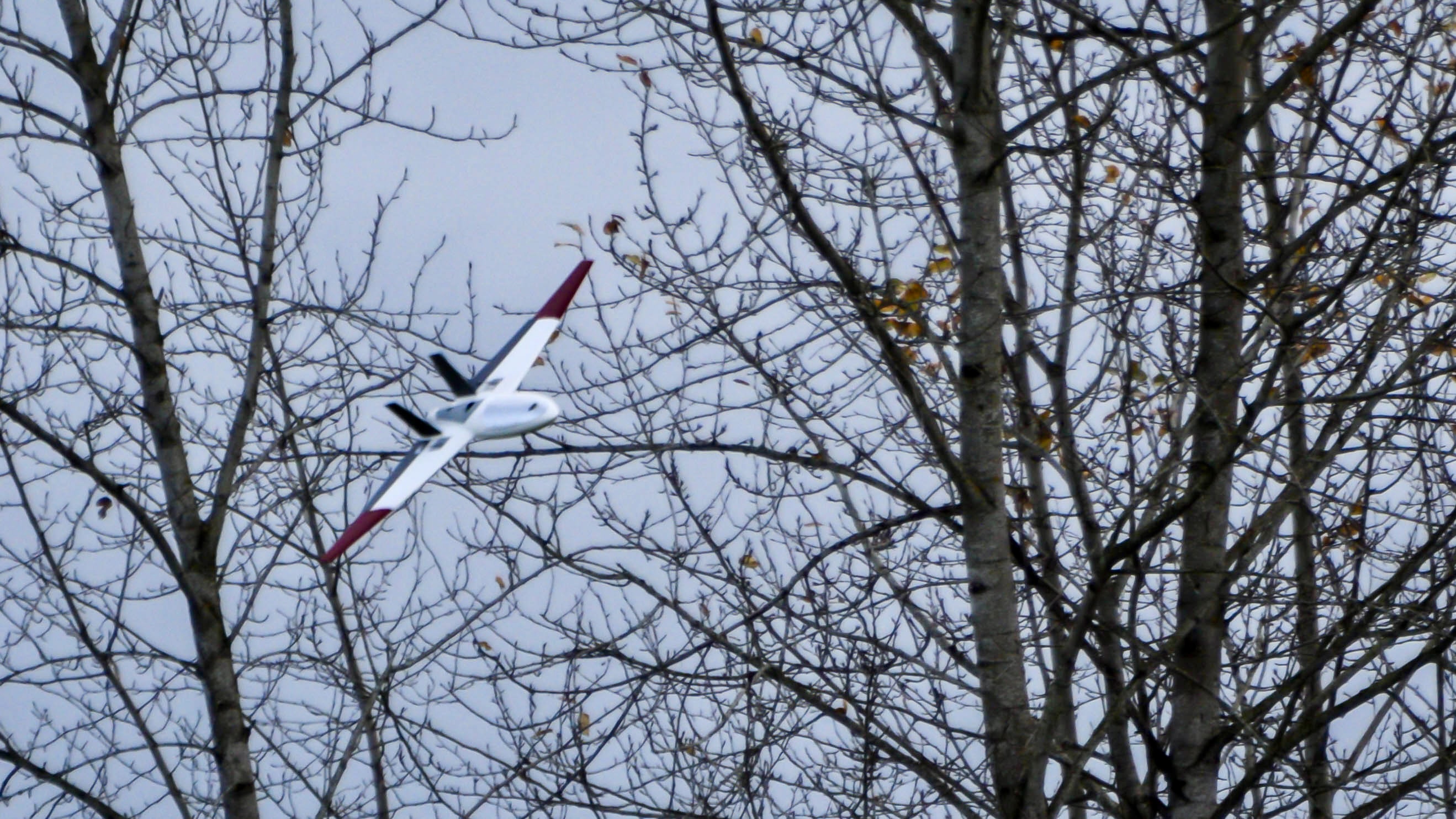 Zephyr Dynamics Velora V3 - 3D PRINTED AIRPLANE WING - Twin or Single ...