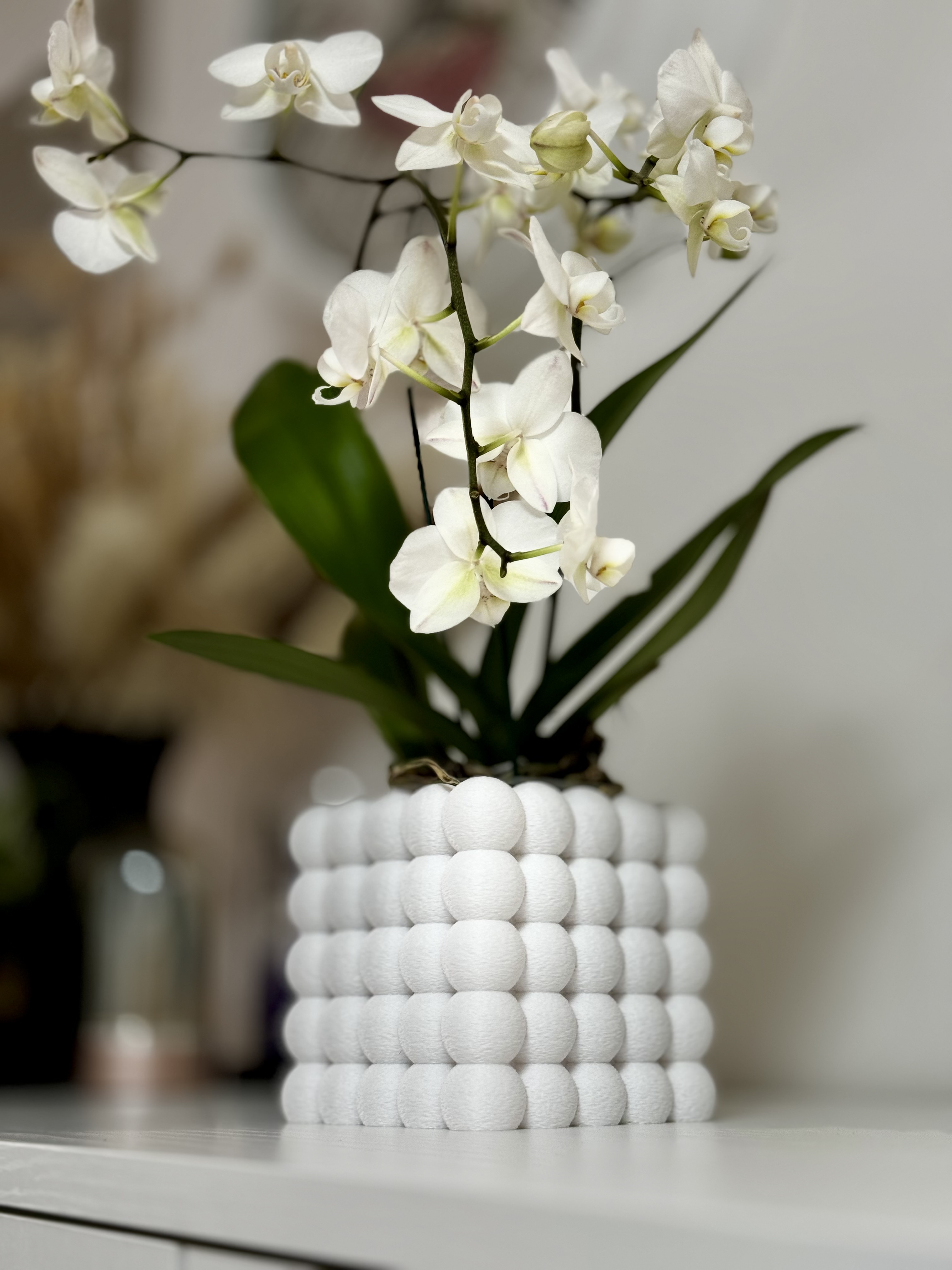 Bubble Vase by Shepp 3D | Download free STL model | Printables.com