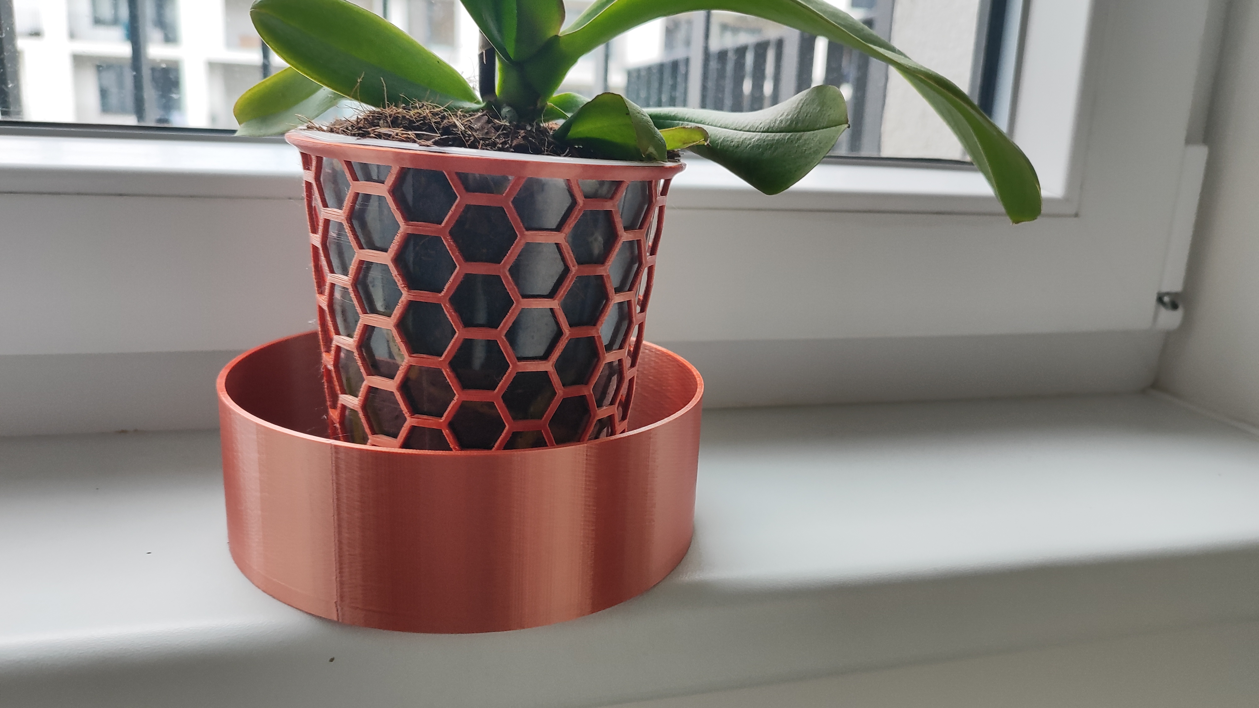 Orchid basket with hollow bottom by Redneb | Download free STL model ...