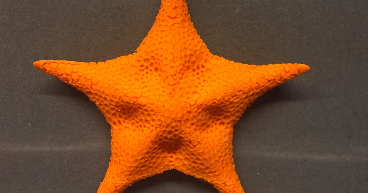 Starfish model by Empiricus | Download free STL model | Printables.com