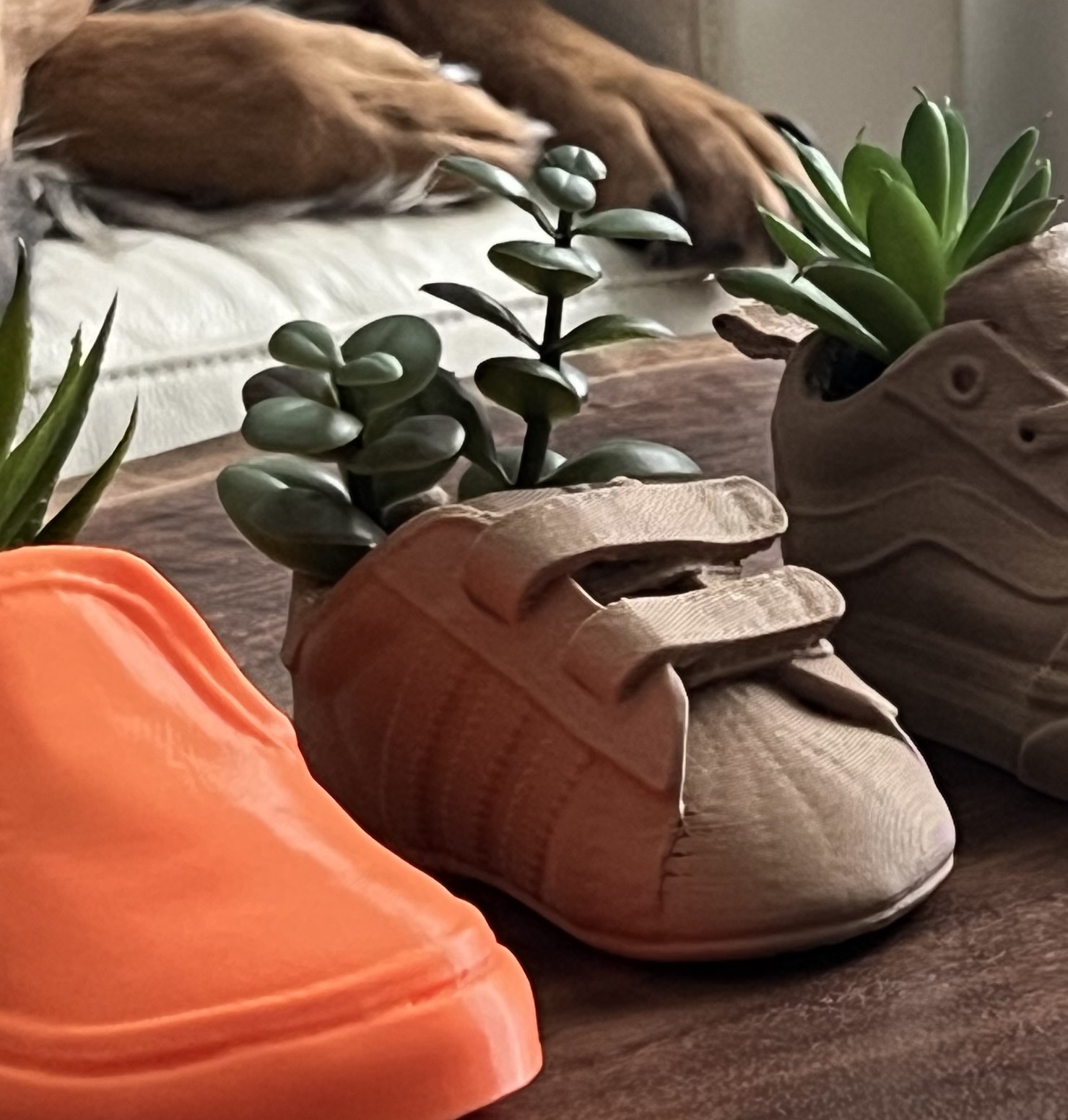 Adidas Baby Shoe Succulent planter by SpaceCrafter - MakerWorld