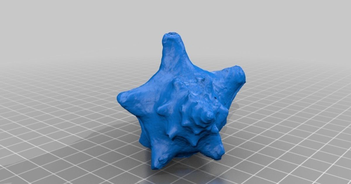 3D Scan of a Shell by PrintedSolid | Download free STL model ...