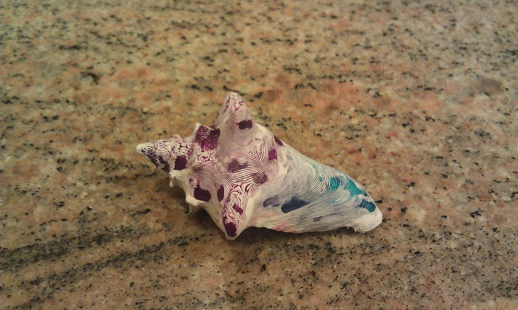 3D Scan of a Shell by PrintedSolid | Download free STL model ...