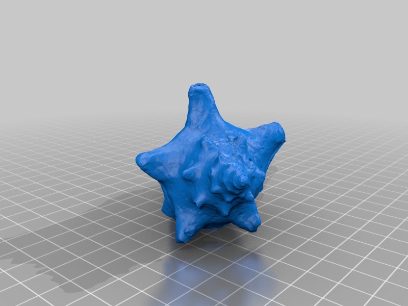 3D Scan of a Shell by PrintedSolid | Download free STL model ...