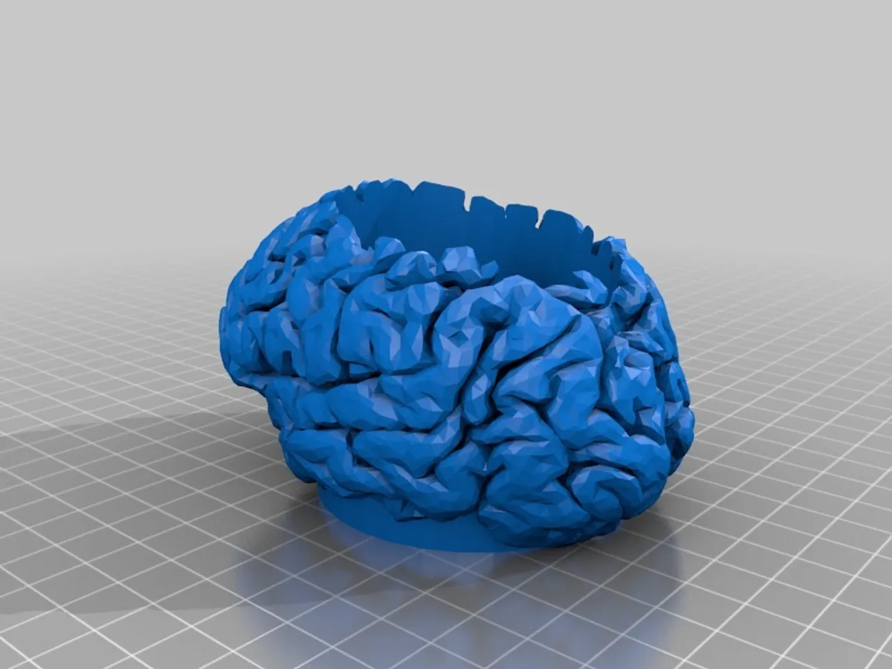 Brain Bowl by GMBridge | Download free STL model | Printables.com