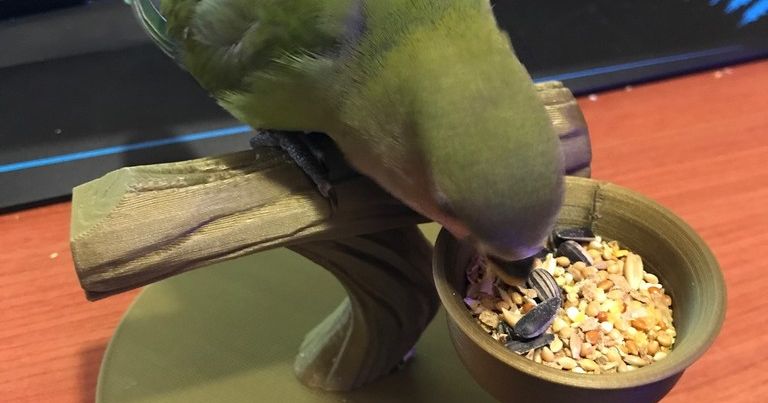 Bird stand with feed von Mark Doll | Kostenloses STL-Modell ...