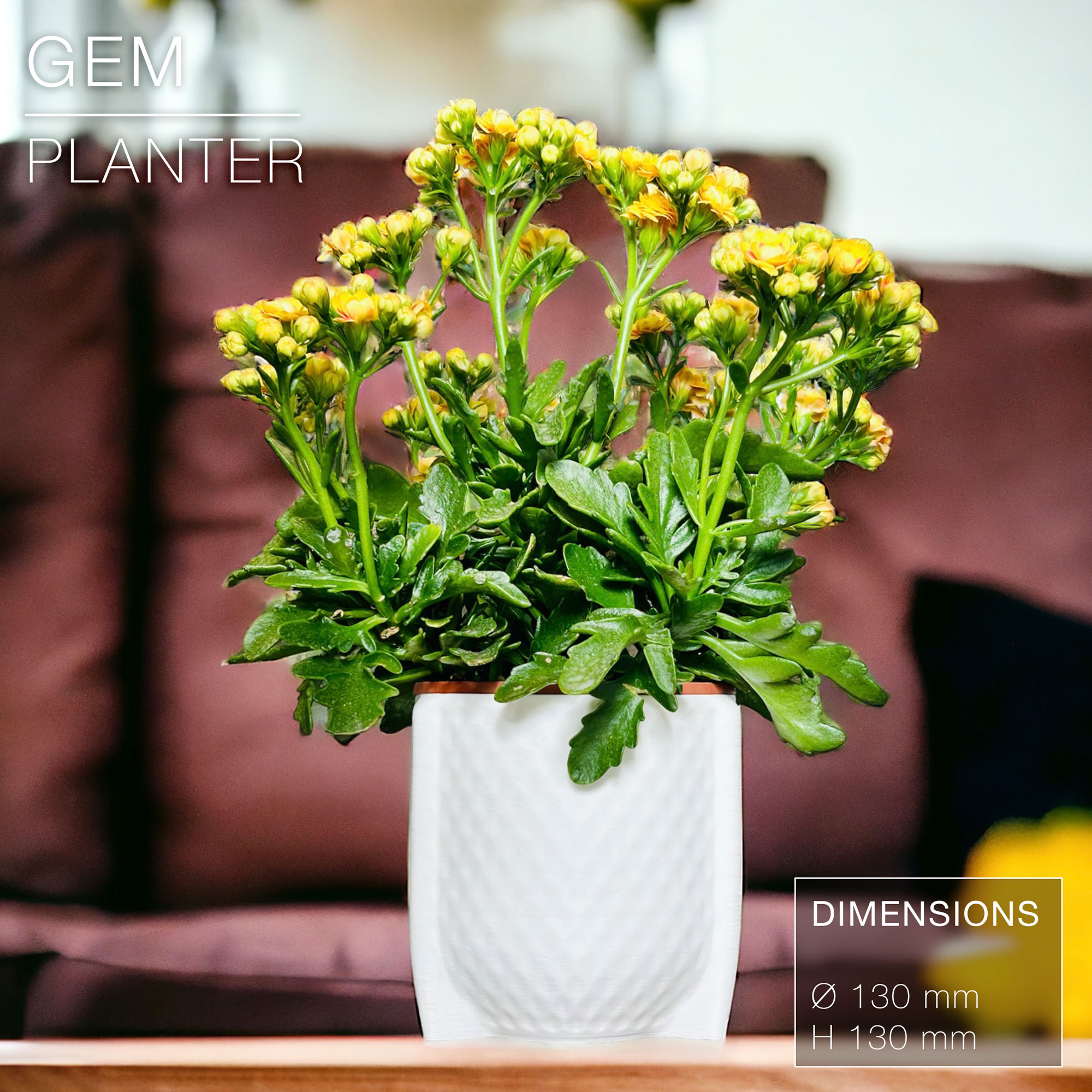 GEM | Cache-pot Planter by Charles Regaud | Printables Store