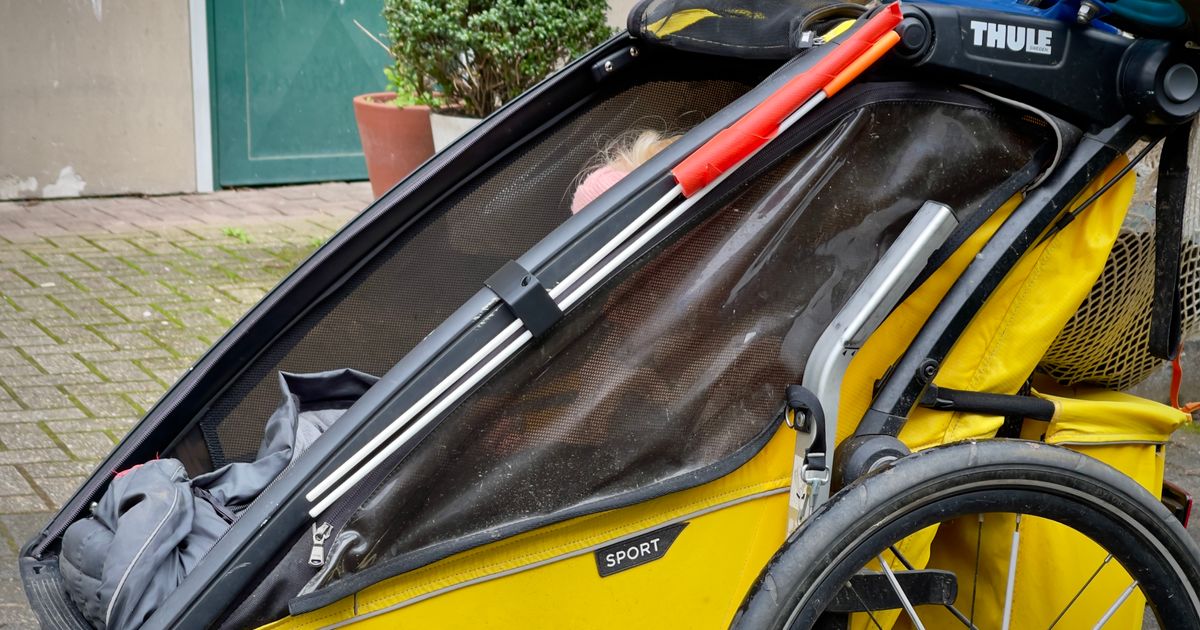 Thule Stroller Flag Holder reloaded V2 by average3D | Download free STL ...