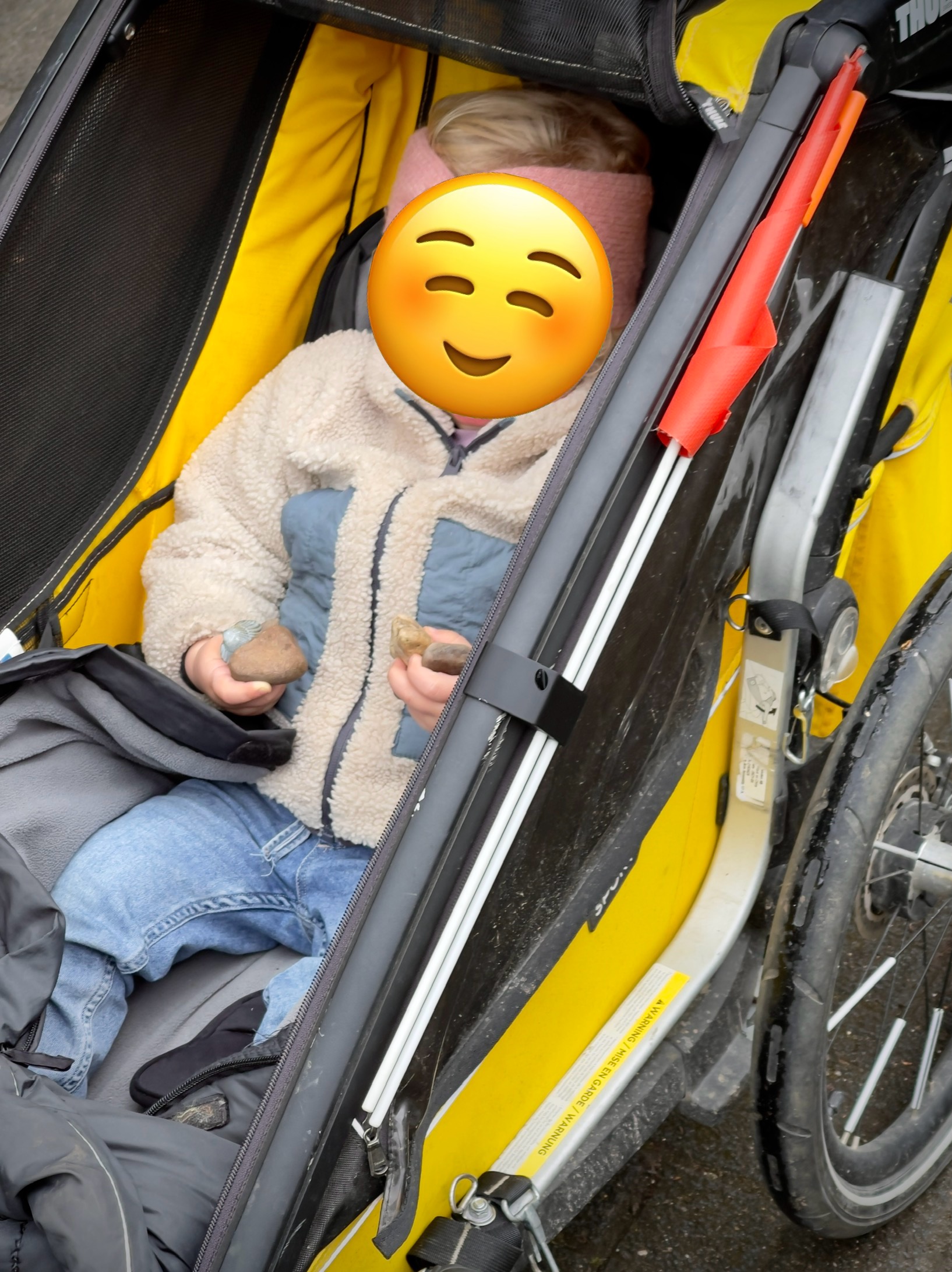 Thule Stroller Flag Holder reloaded V2 by average3D | Download free STL ...