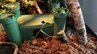 castle rook hide a safe by Ncxmod70 | Download free STL model ...