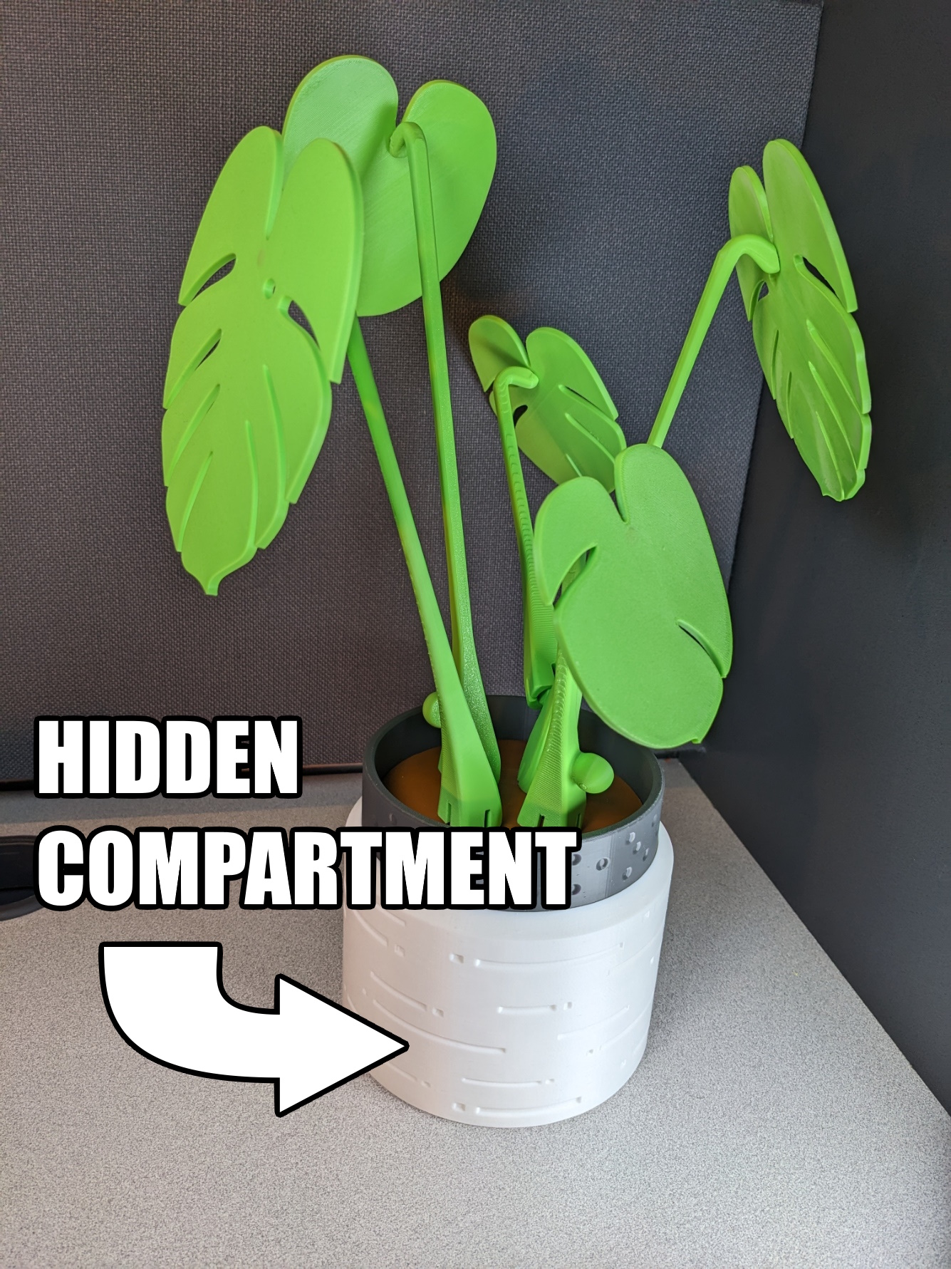Planter Vase Pot for ForgeCore Monstera Coaster Plant by Bearded ...